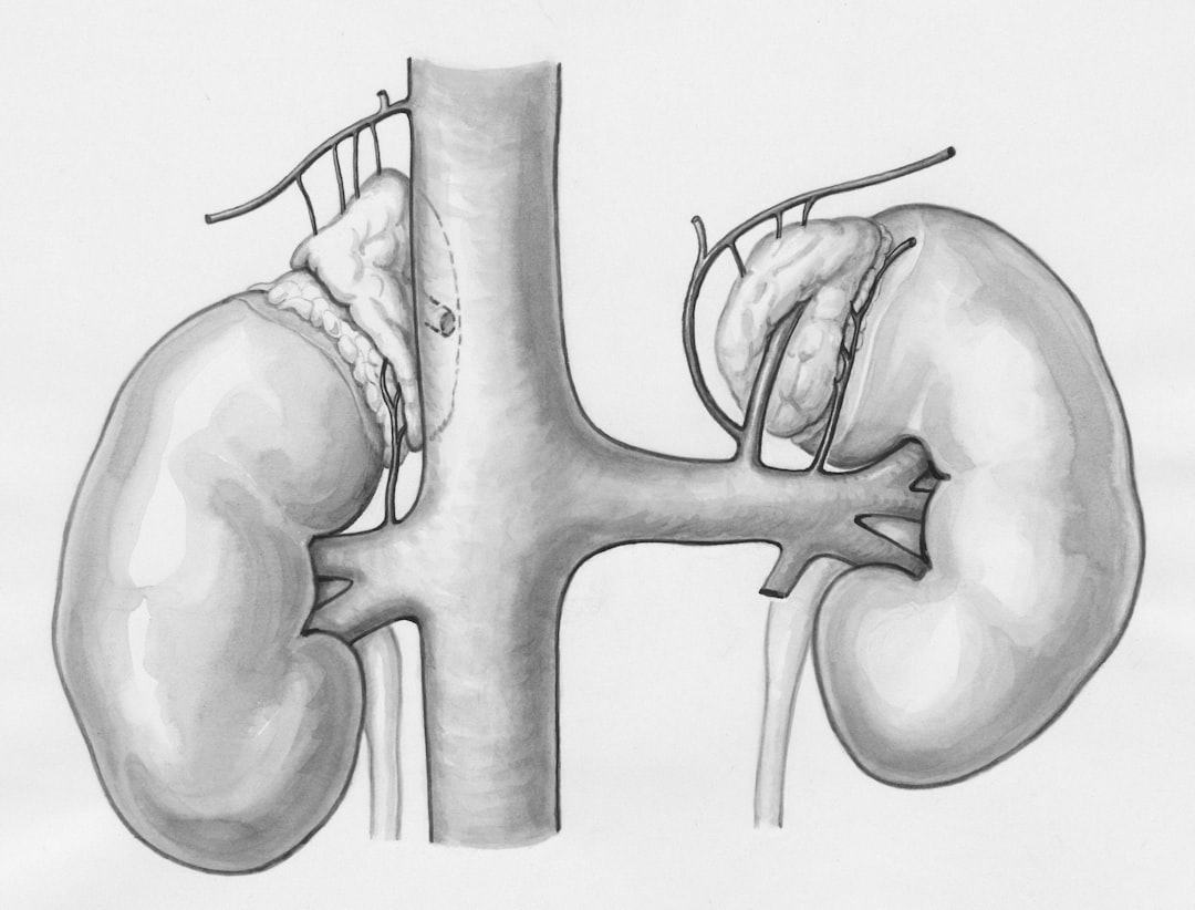 🚨 Occlusion intestinale : reconnaître vite les symptômes clés ! 🩺